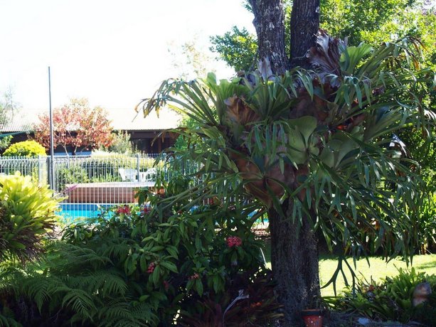 Bellingen Valley Lodge, Bellingen - Compare Deals